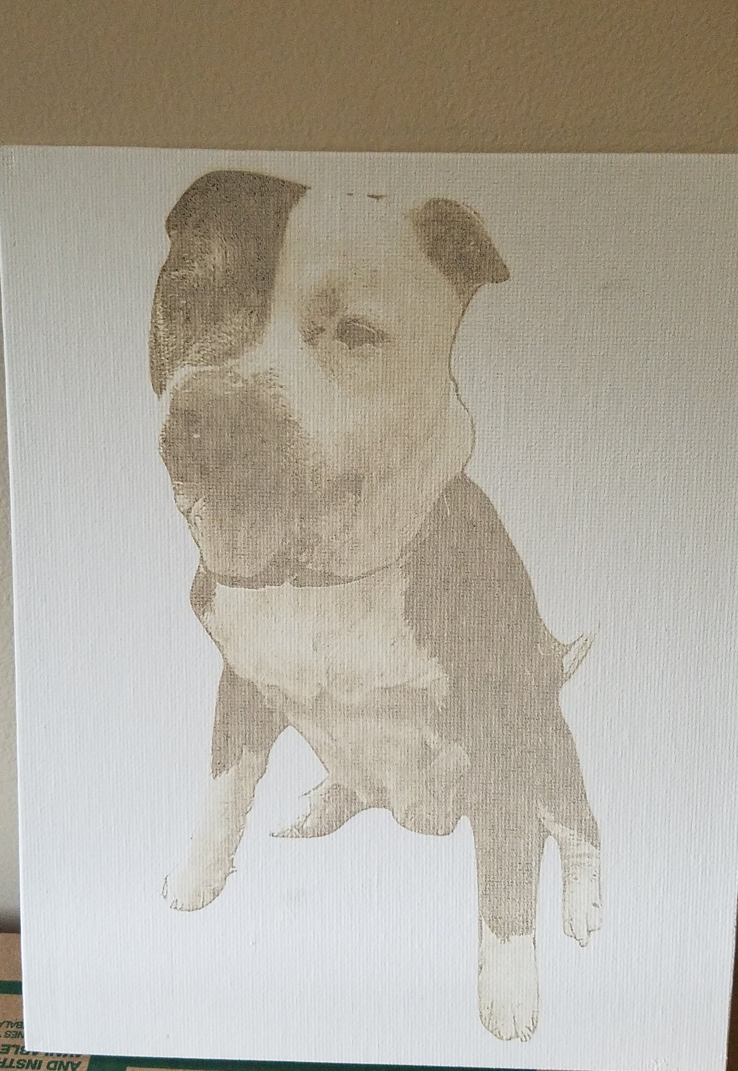 Laser engraved canvas photo